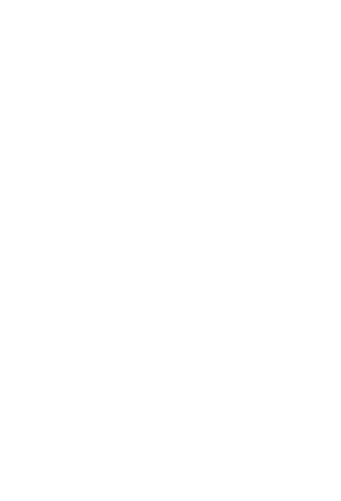 Bloom Experience