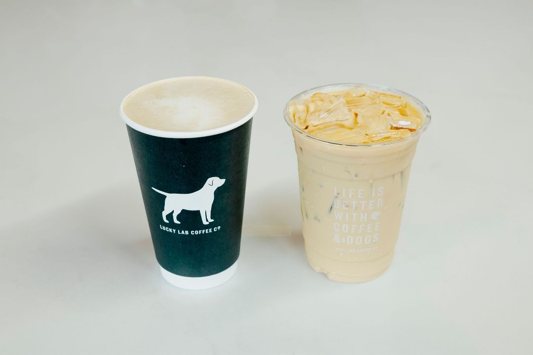 Lucky Lab Coffee Dripping Springs | Toast