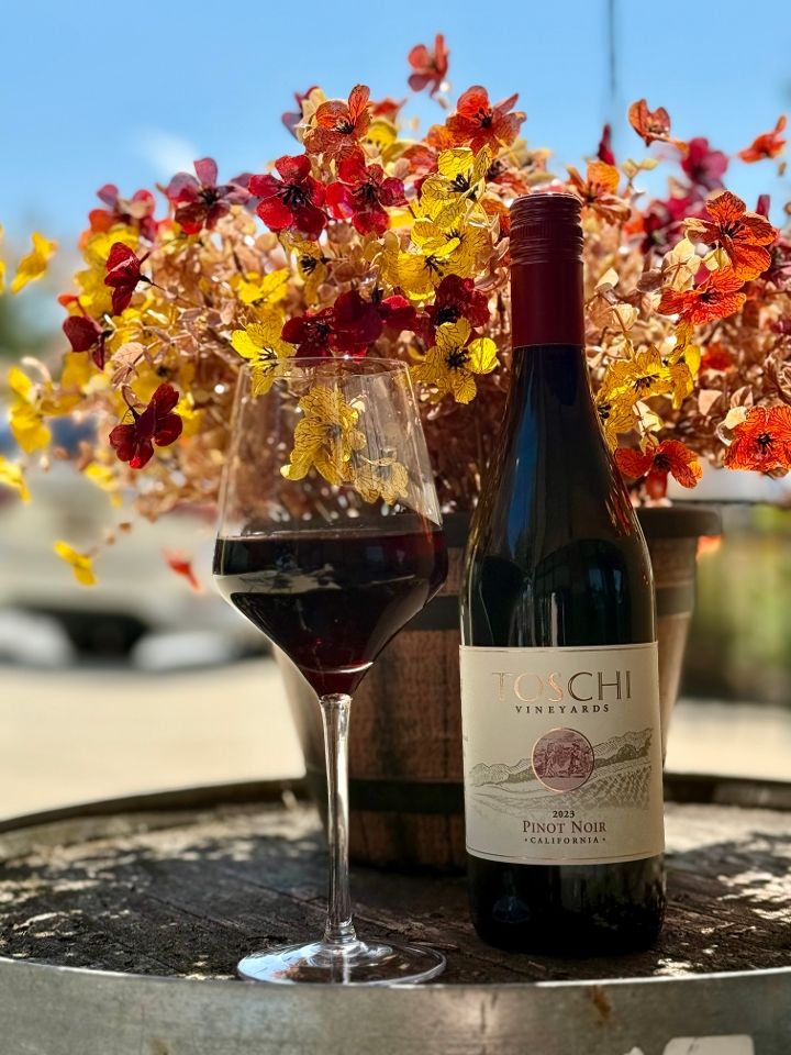Tino's Italian Bistro & Wine Bar - RED: Toschi Pinot Noir (B)