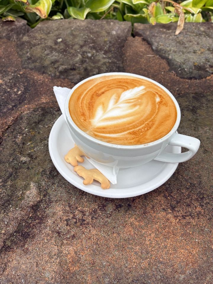 Open City at the National Cathedral - Sugared Blueberry Cold Foam Matcha