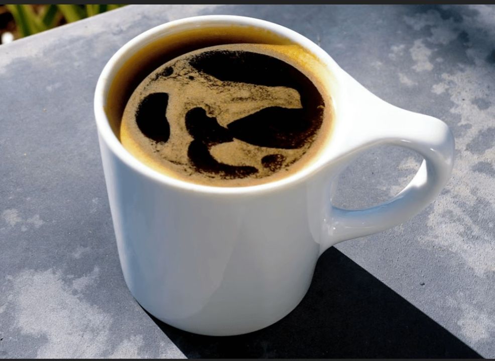 Avatar Coffee Roasters 1951 East Dyer Road, Suite B | Toast