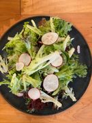 Piccino Dogpatch - Radiatori