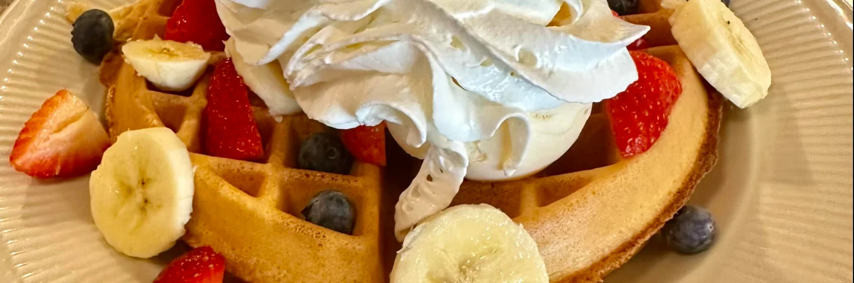 New Munson Diner - FRENCH ONION SOUP