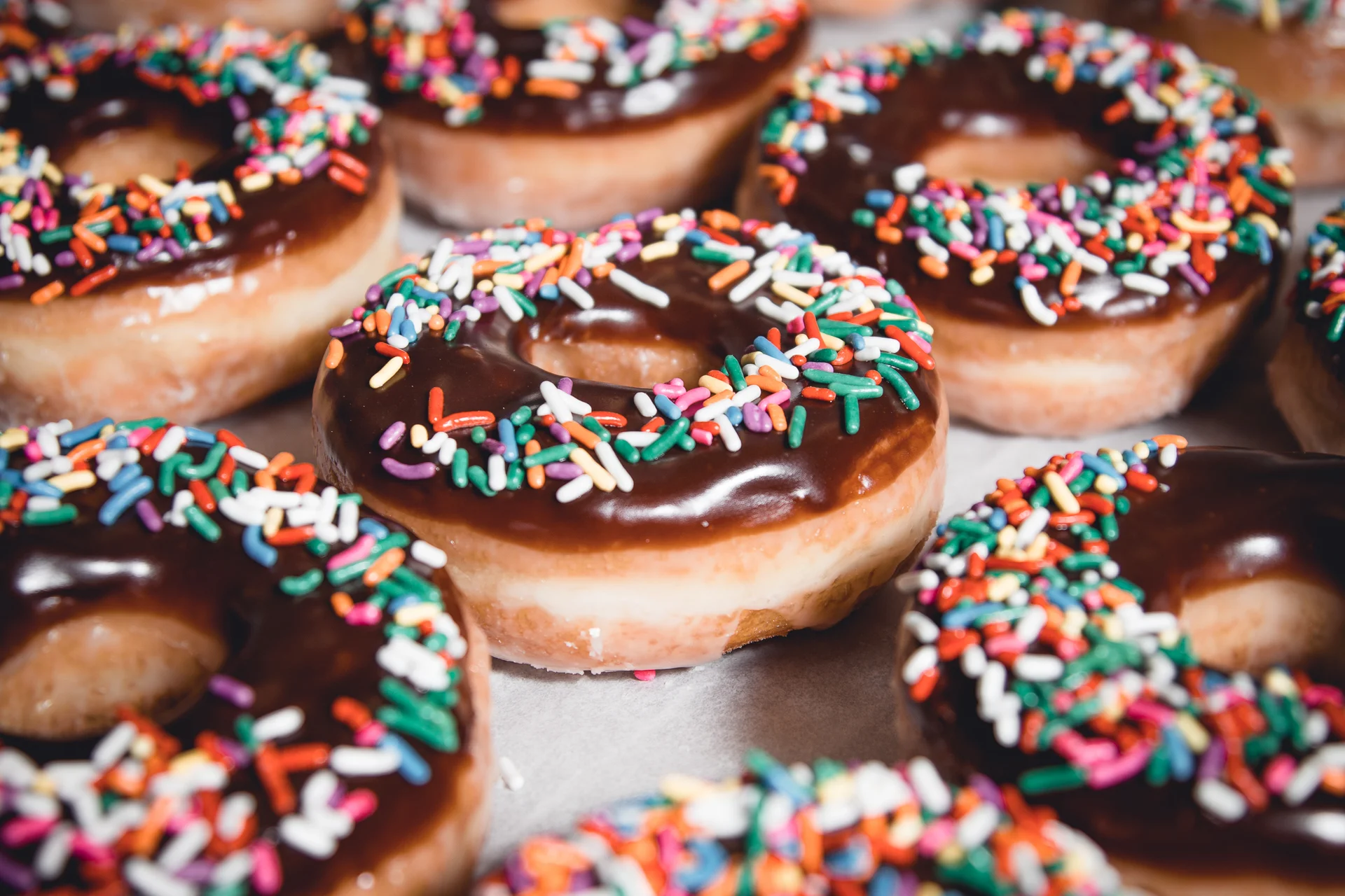 Donut Country (1311 Memorial Blvd)