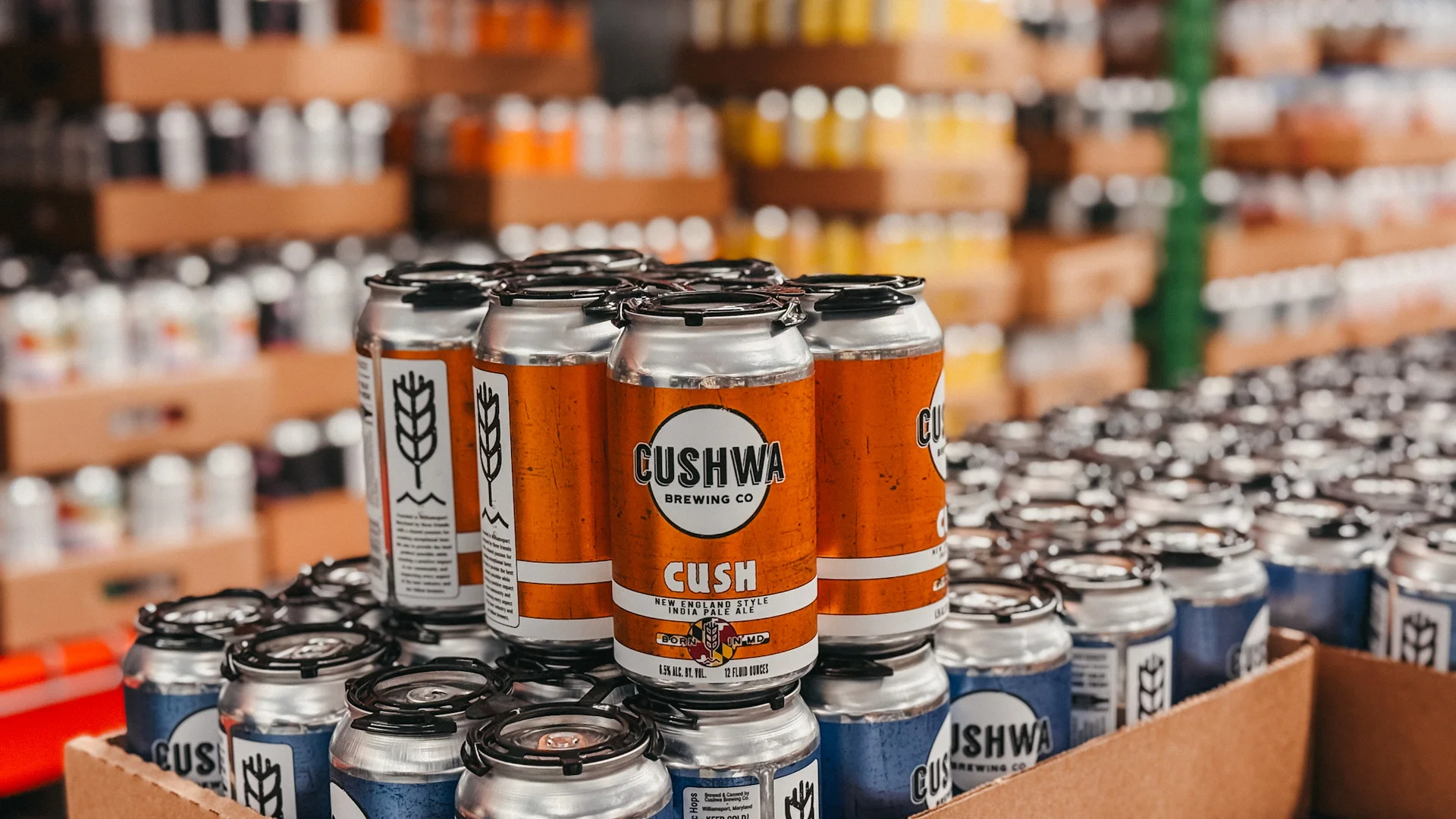 Williamsport, MD - Smile Like You Mean It (4 Pack)