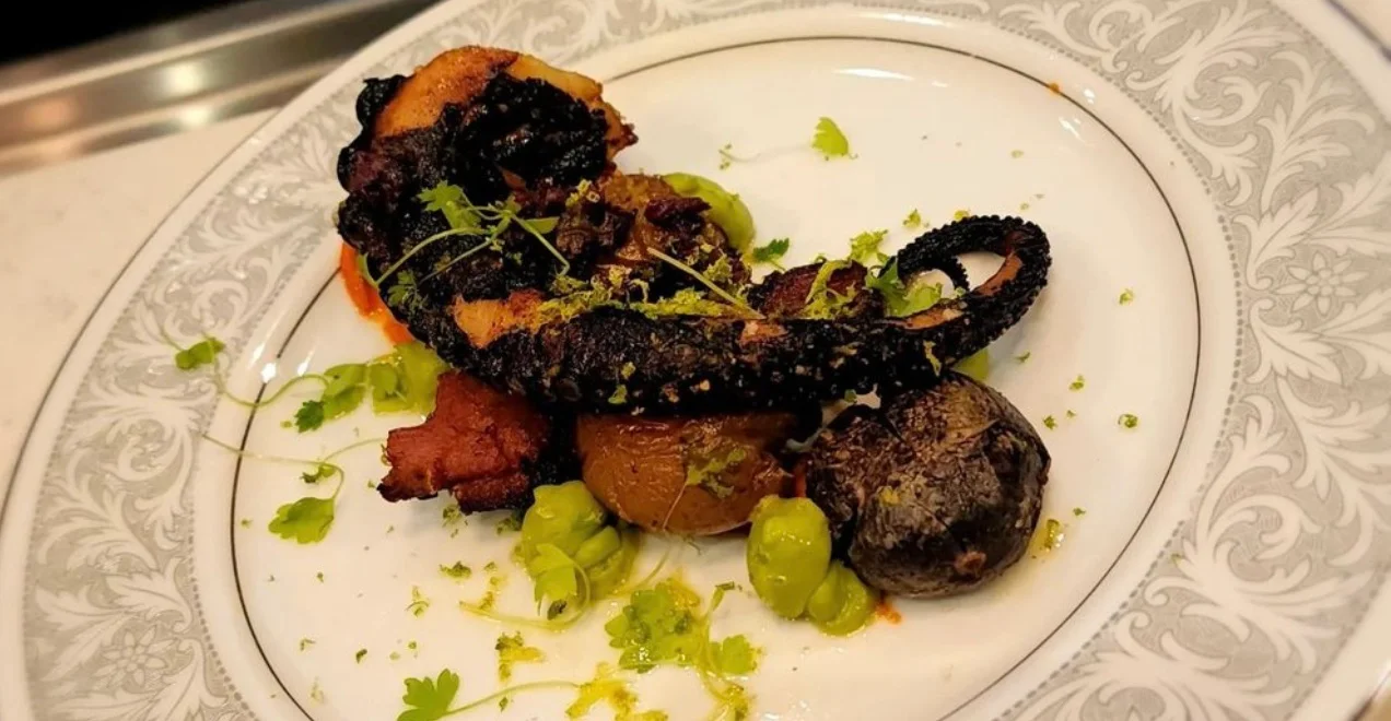 536 Hamilton st - Wedge