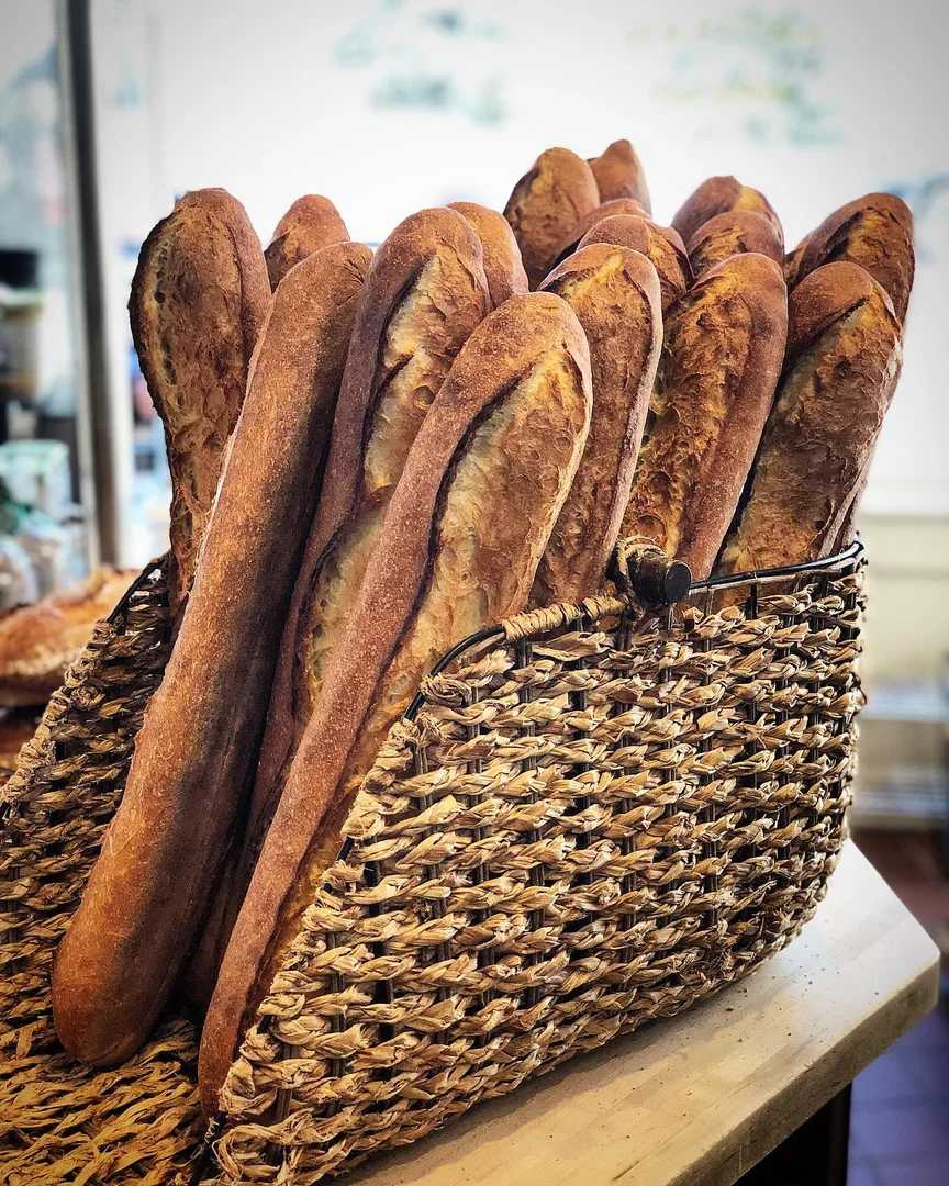 Blue Dog Bakery & Cafe