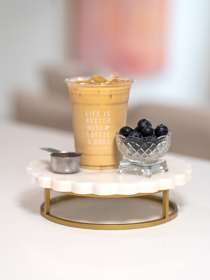 Lucky Lab Coffee Co. Flagship | Toast