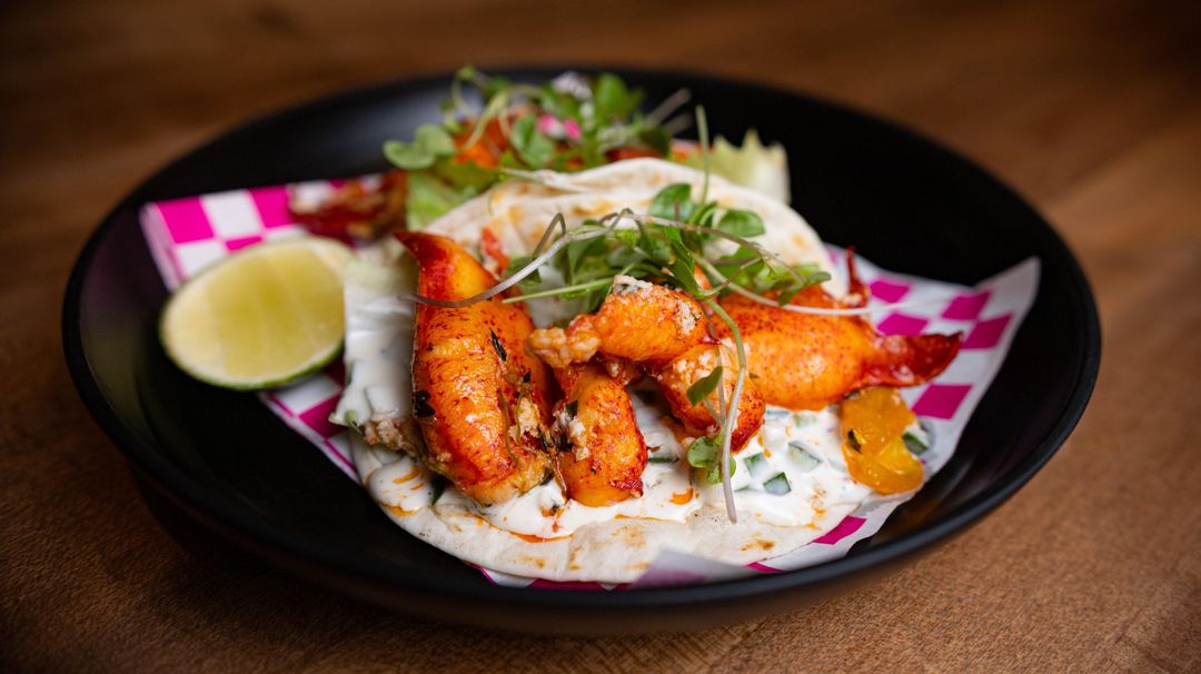 Rabbit Taco Tysons | Toast