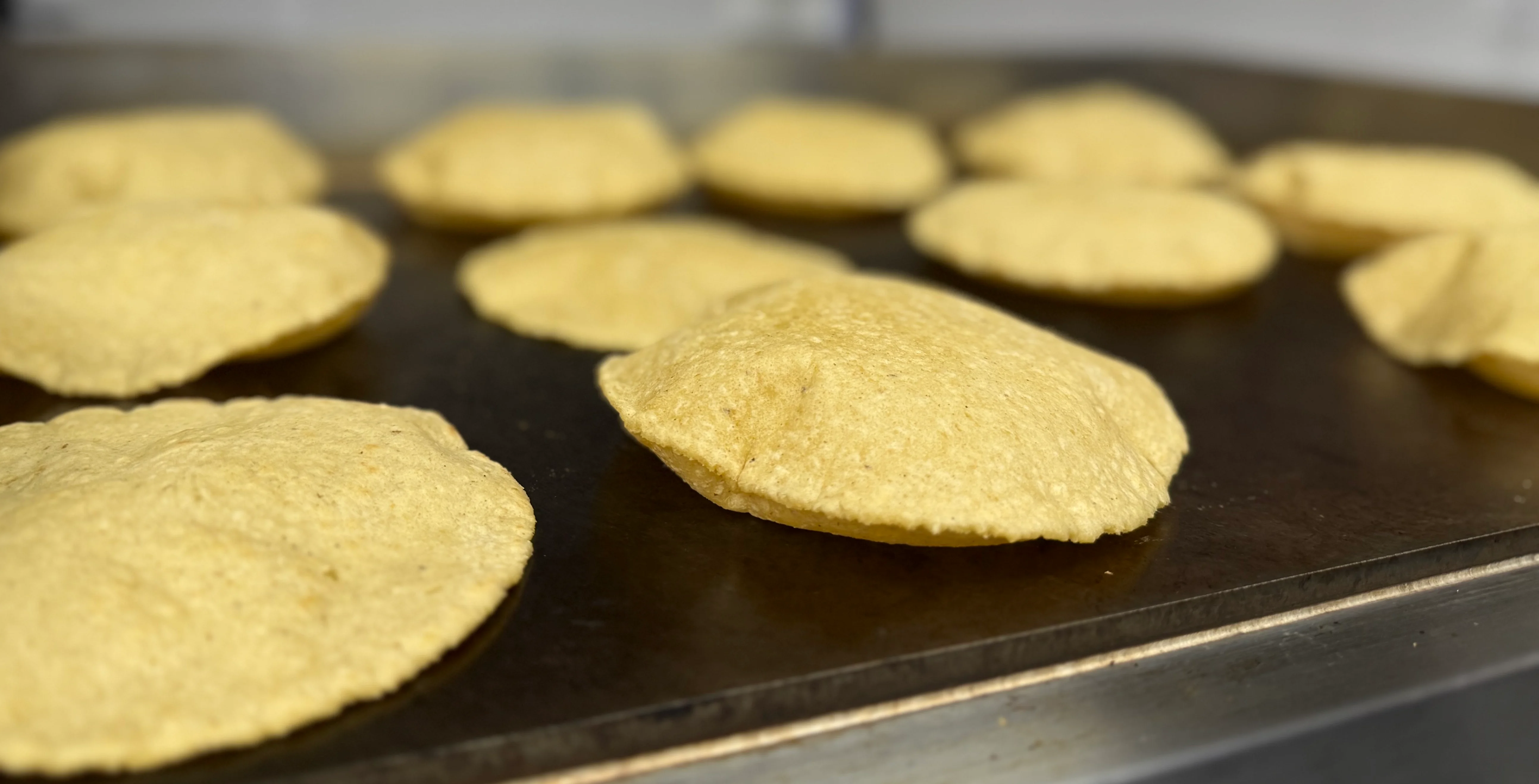 Taco Fresco Mexican Street Food – Babylon, NY