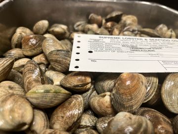 Made In Italy | Trattoria - 2lb MEDITERRANEAN MUSSELS IN RED PLUM TOMATO