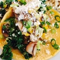 Blue Plate Taco - Carnitas Taco