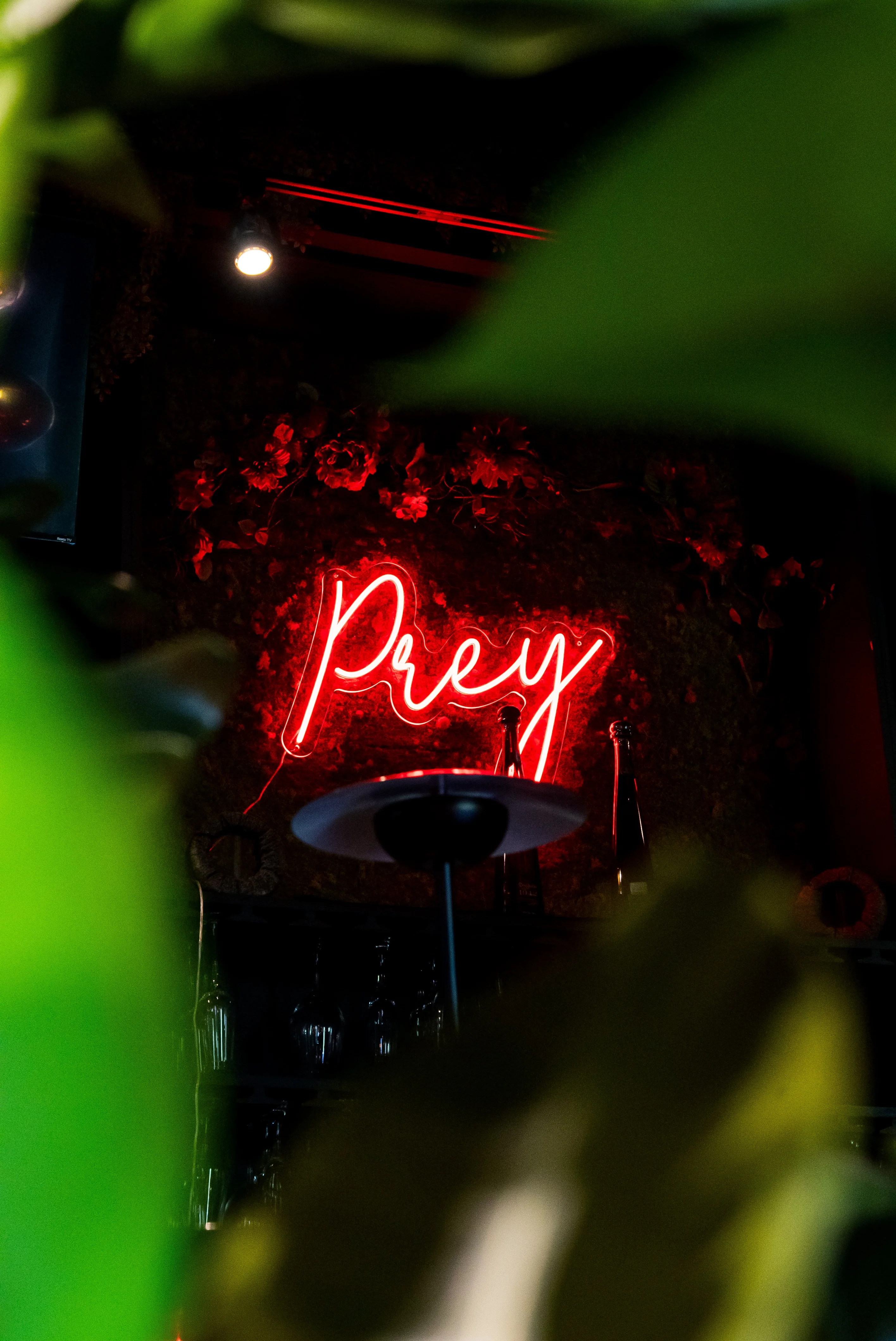 Prey