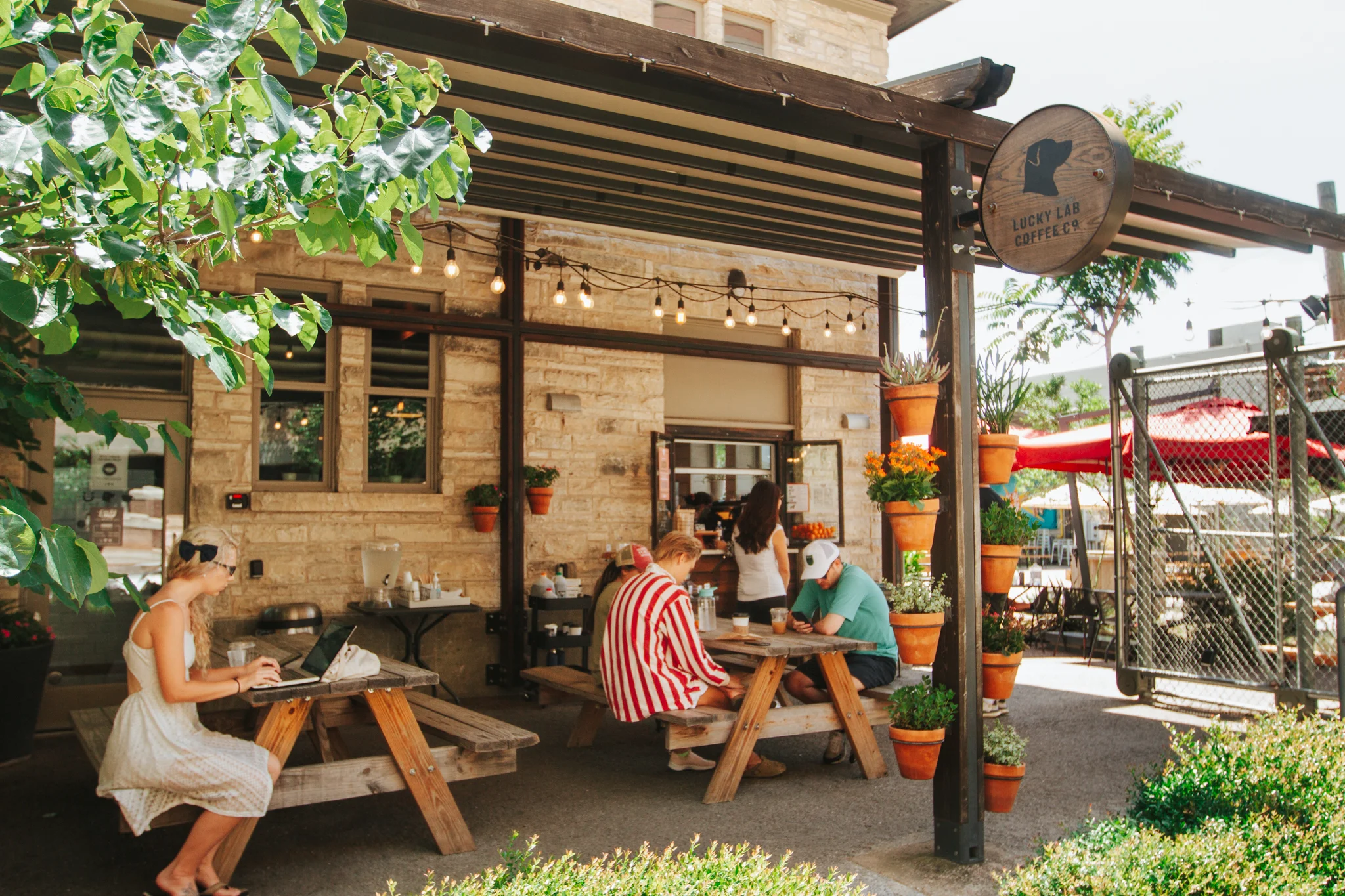 Lucky Lab Coffee Co.