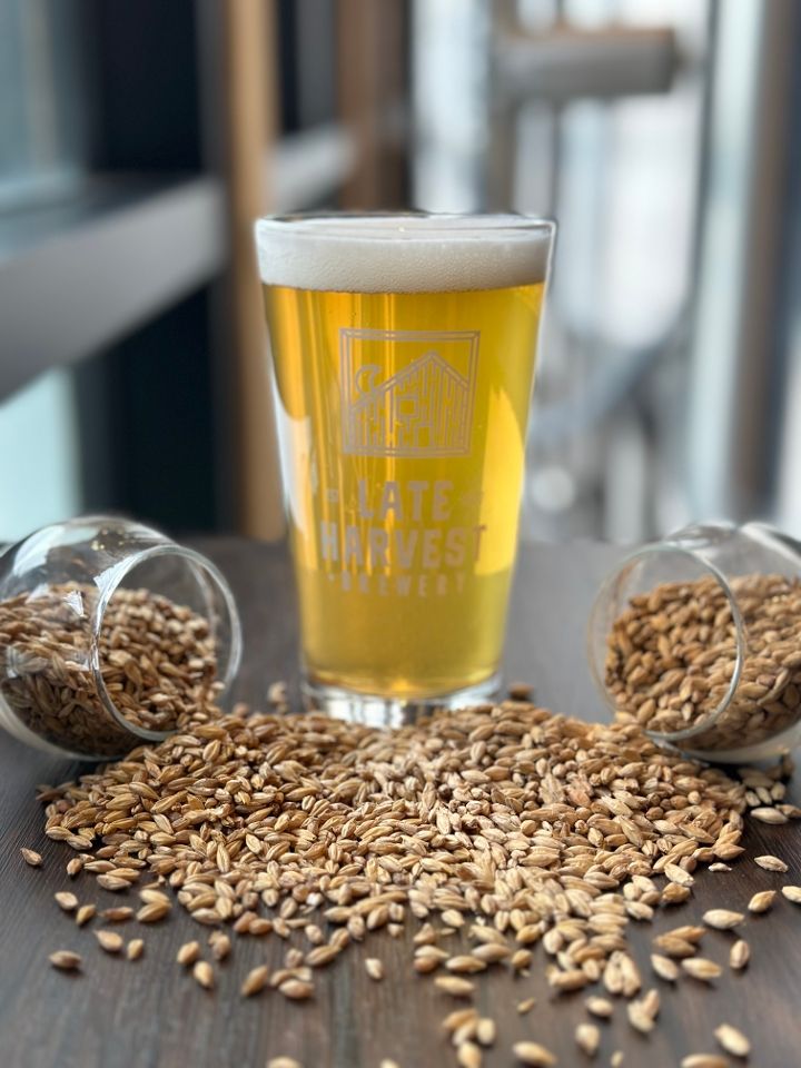 Late Harvest Brewery | Toast
